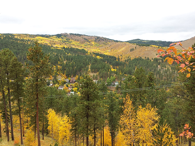 Autumn in Deadwood: where golden leaves match the town's gilded history. It's nature's way of saying, "I can do bling too, you know."