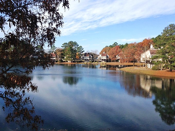 Fall in New Bern: where Mother Nature puts on her most colorful fashion show. Eat your heart out, Paris Fashion Week!