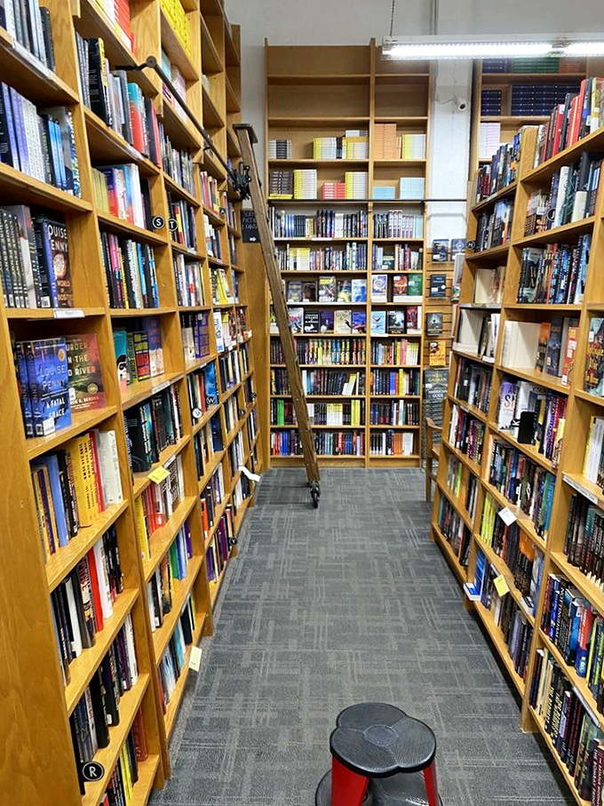 Fiction section or portal to other worlds? Either way, prepare for an adventure between these shelves.