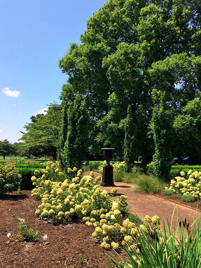 Garden of eatin': Where Southern flora blooms and ideas for new cocktail garnishes sprout. It's a mixologist's dream come true!