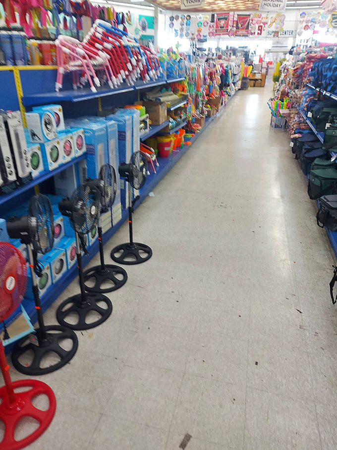 The endless aisles of Super 99 Cent Store stretch toward bargain infinity, a wonderland where every turn reveals new discount treasures.