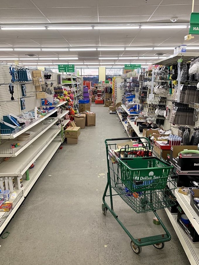 Shopping carts navigate the terrain of temptation, where impulse buys lurk around every corner like friendly retail ambushes.