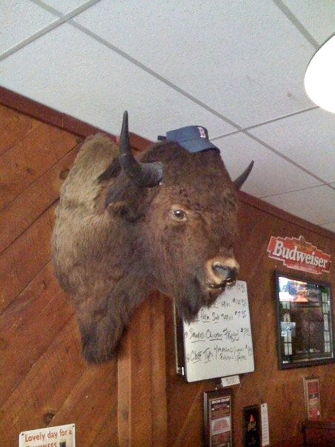 Meet the pub's guardian: A bison head with more personality than some of the regulars. He's got his eye on you!