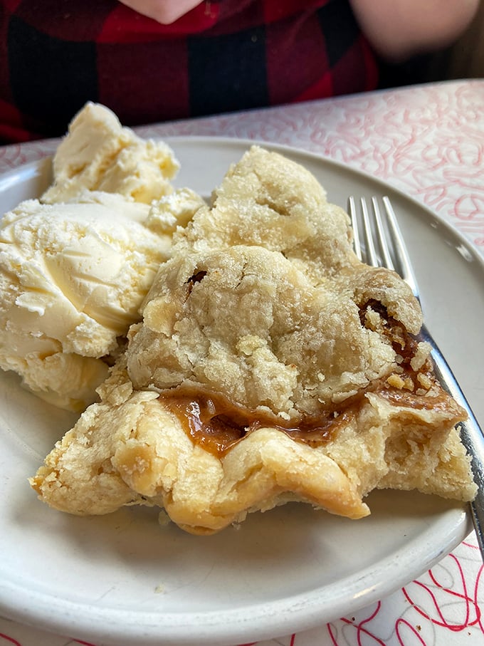 Apple pie that makes you understand why people steal recipes from grandmothers. That scoop of vanilla ice cream is just showing off.