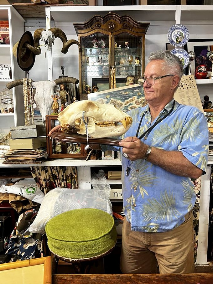 "Alas, poor Yorick!" Nope, just kidding. This skull's previous owner was a bit more... bearish. A conversation starter for sure!