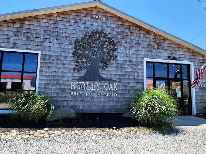 Burley Oak's rustic cedar-shingled brewery has become a pilgrimage site for craft beer enthusiasts. That metal tree artwork isn't just decoration&mdash;it's a philosophy.