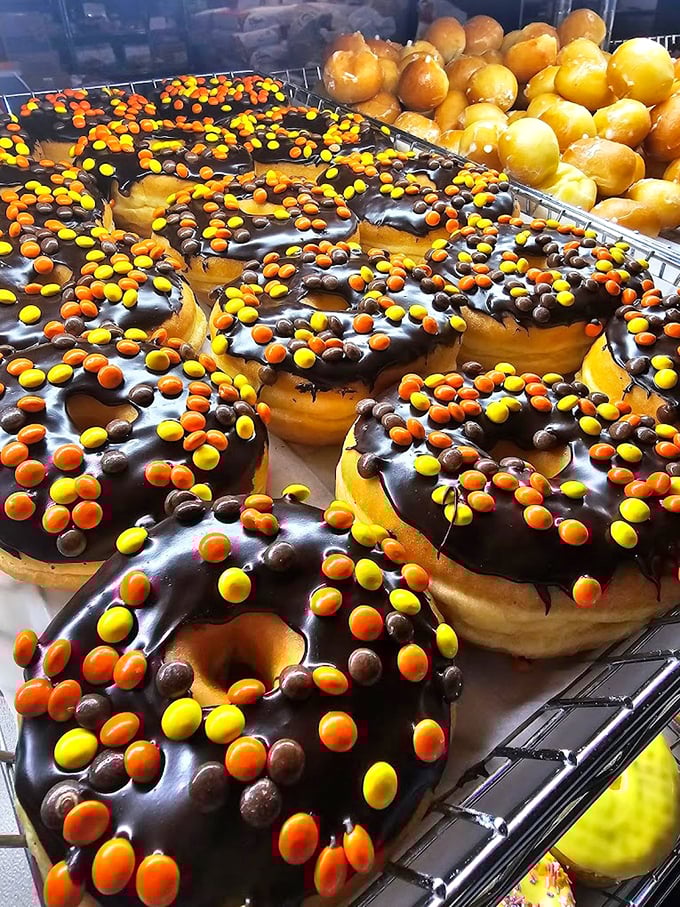 Candy-coated happiness! These donuts look like they took a dip in Willy Wonka's chocolate river and came out even more magical.