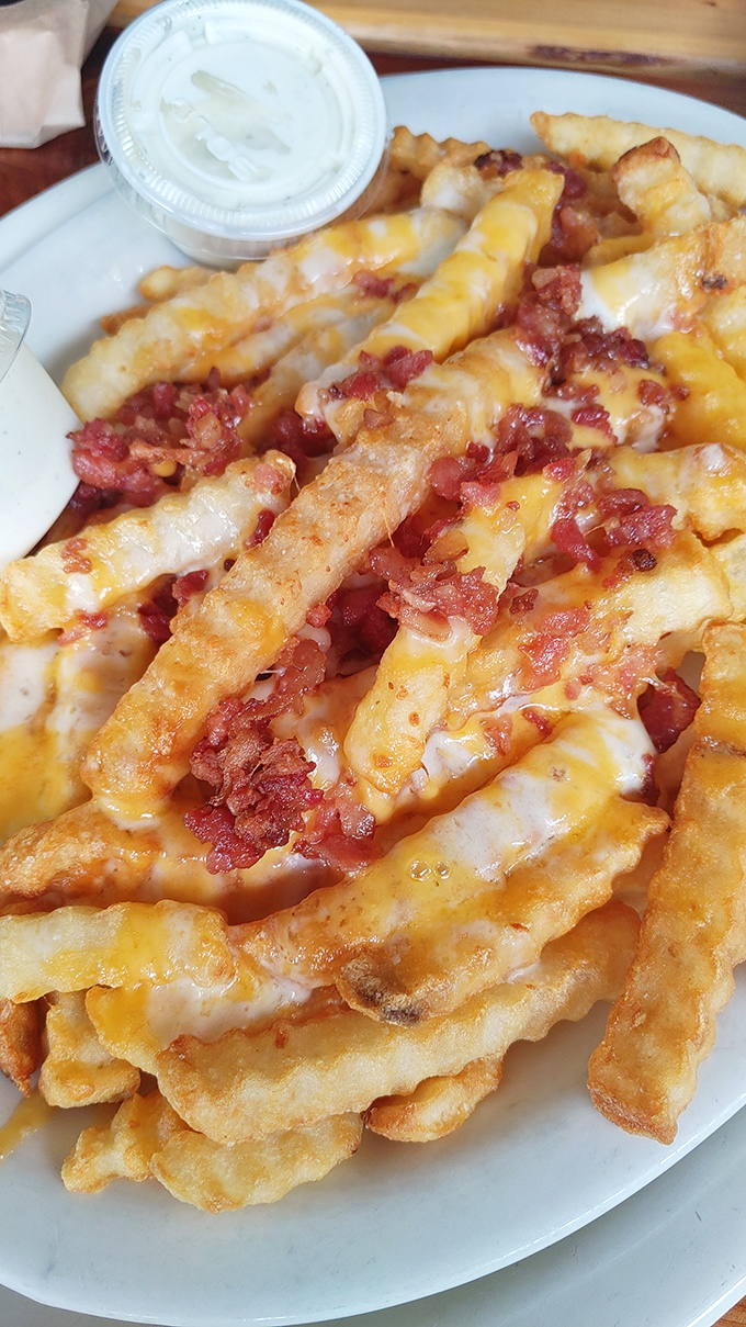 Cheesy fries: because sometimes you need to treat yourself to a little guilty pleasure. It's like a warm, cheesy hug for your taste buds.