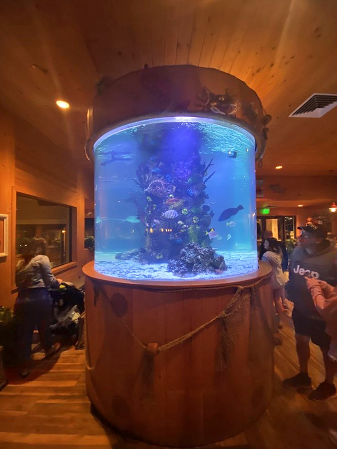 Who's watching who? This mesmerizing fish tank brings the ocean to you, minus the sand in your shorts.