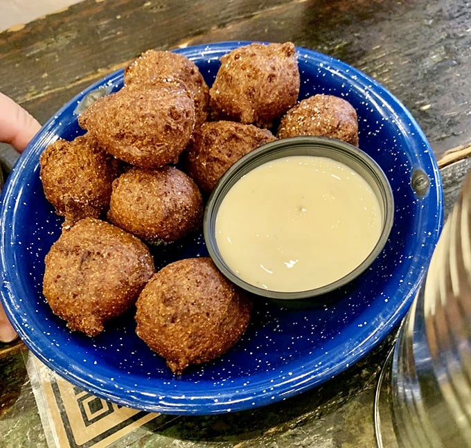 Hush puppies that achieve the impossible: crispy exterior giving way to cloud-like insides, with dipping sauce that makes you consider drinking it straight.