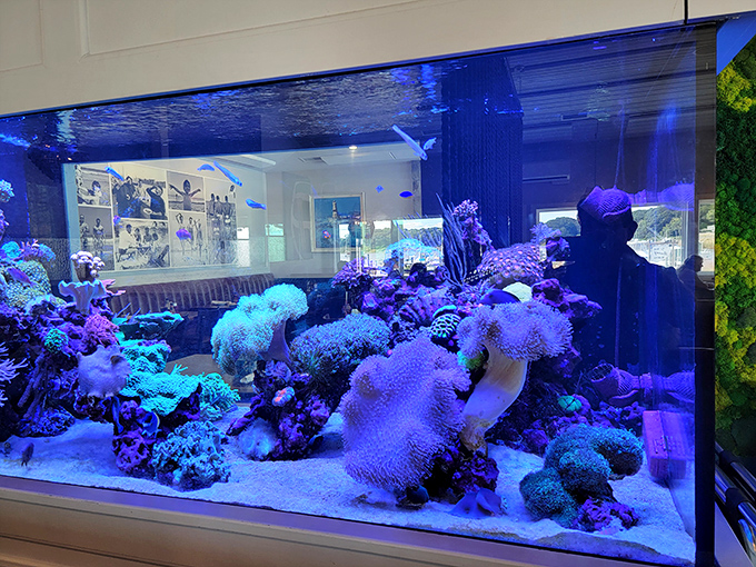 Finding Nemo's cooler cousins! This stunning aquarium brings the ocean to you. It's like dinner and a show, minus the guilt of eating the performers.