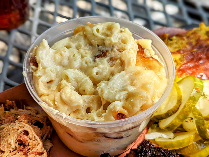 Comfort in a Cup: Dive into this creamy mac 'n' cheese, where every spoonful is a warm hug for your taste buds.