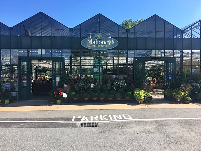 Mahoney's Garden Center: A plant lover's paradise that would make even the Jolly Green Giant jealous. Warning: May cause spontaneous urges to become a botanist.