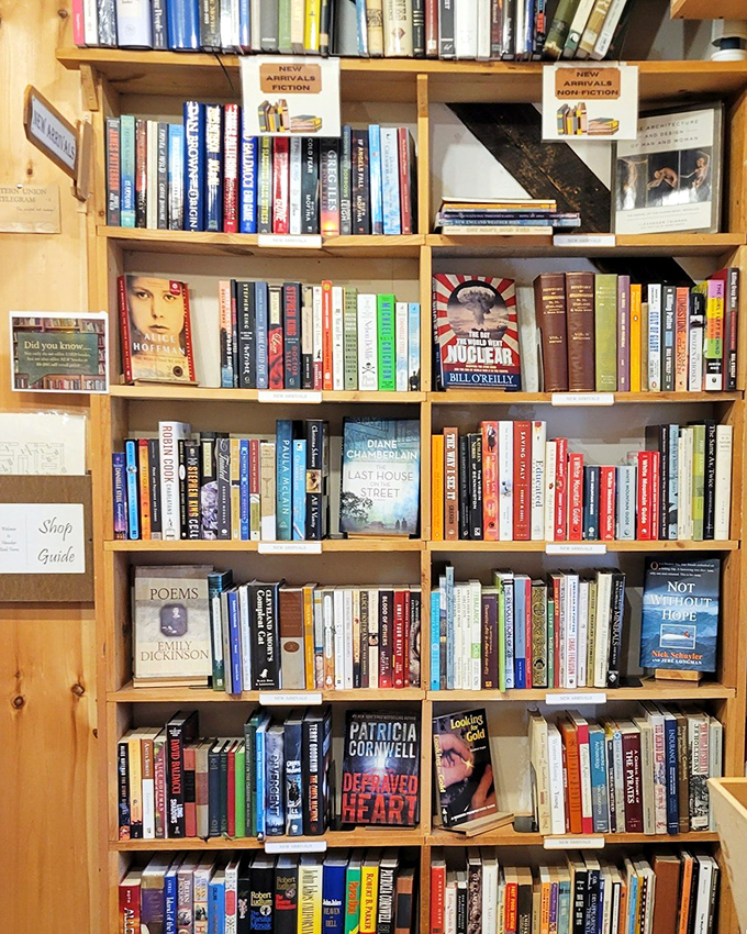 Fresh off the press! These new arrivals are hotter than a book burning... Wait, scratch that. They're just really, really new.