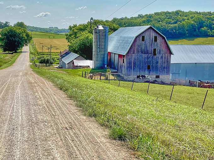 Down on the farm, where the grass is greener and the dirt roads lead to adventure. It's like "Green Acres," but with better scenery and fewer sitcom mishaps.