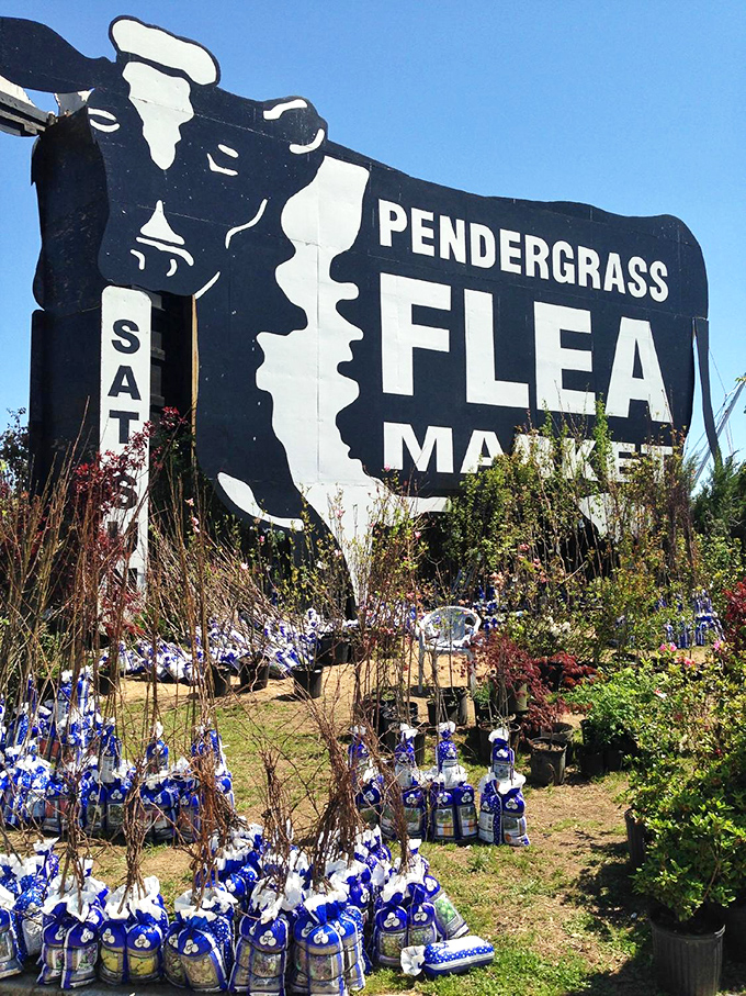 Moo-ve over ordinary markets! This sign promises a bovine bonanza of bargains that'll make your wallet say "thank you" in cow language.