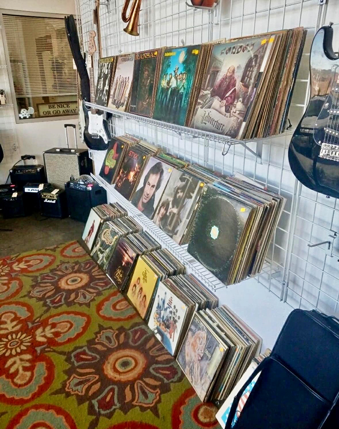 Vinyl frontier: Where music lovers come to spin tales of bygone eras and perhaps pick up a new (old) tune or two.