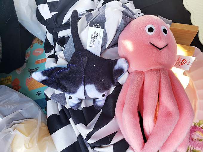 Ocean creatures washed up in a sea of bargains. That pink octopus might become some child's beloved bedtime companion for less than a dollar.