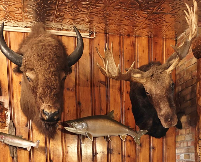Talk about a lively conversation! These mounted heads are the strong, silent types – perfect dinner companions for the shy cowpoke.