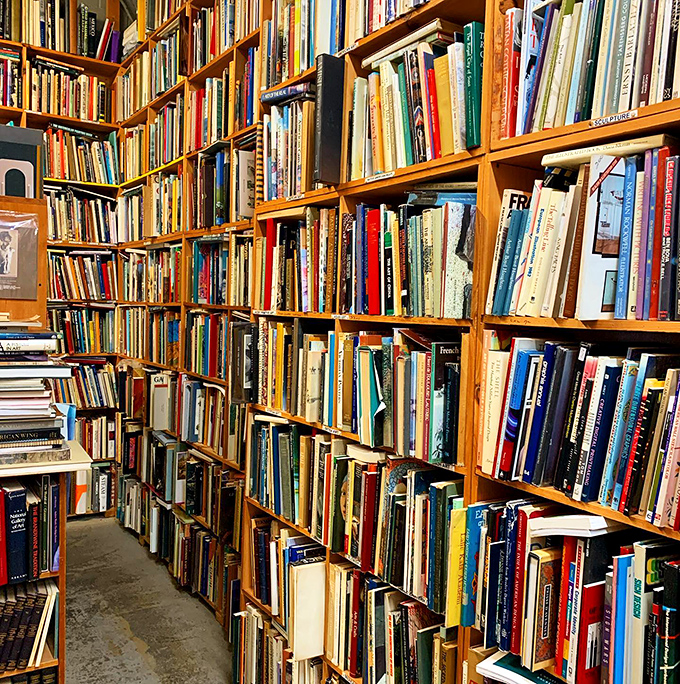 The art section: where Van Gogh's sunflowers bloom next to Warhol's soup cans. A colorful collision of creativity awaits!