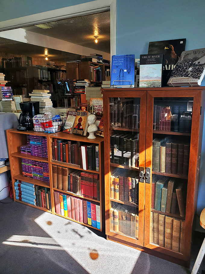 Antique books behind glass – it's like a museum where you can actually touch (and buy) the exhibits!