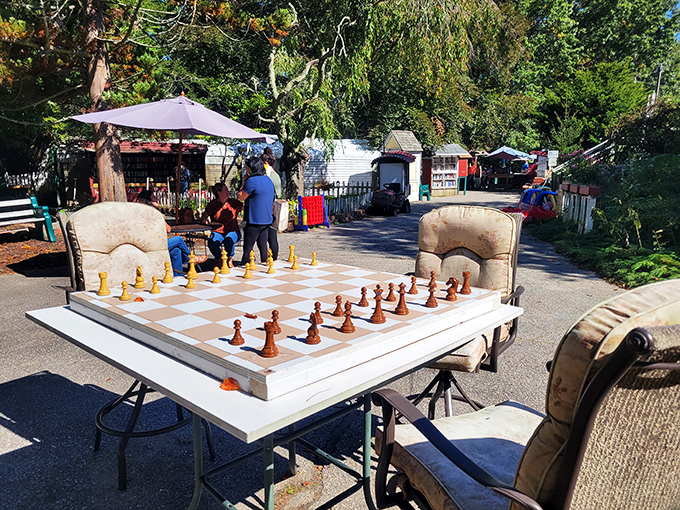 Check, mate! This outdoor chess set proves that at The Book Barn, it's not just the pages that are full of strategy and intrigue.