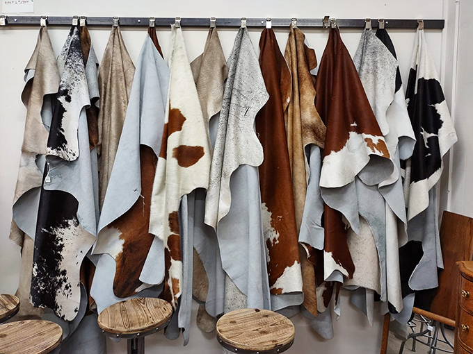 Holy cow! These hides are a moo-ving tribute to the Wild West, perfect for adding some prairie chic to your pad.