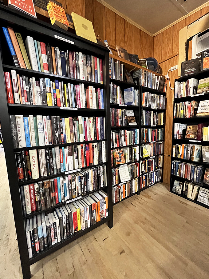 Expand your mind without shrinking your wallet! These educational gems are like a college degree, minus the student loans.