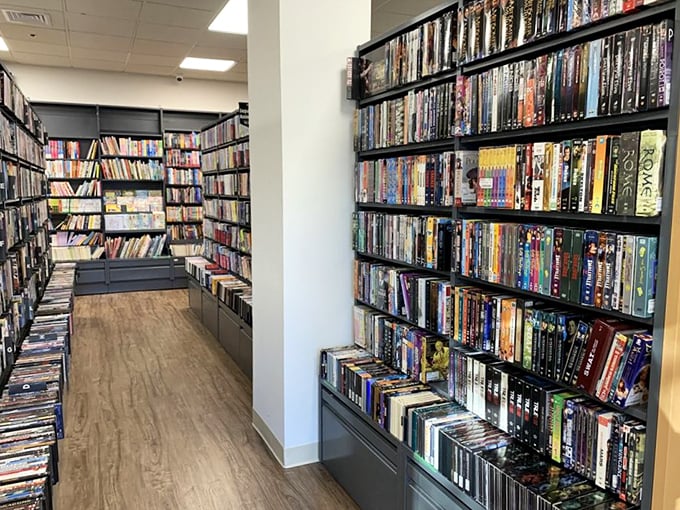 Peek around the corner and discover new worlds. It's like playing hide-and-seek with knowledge, and everyone's a winner.