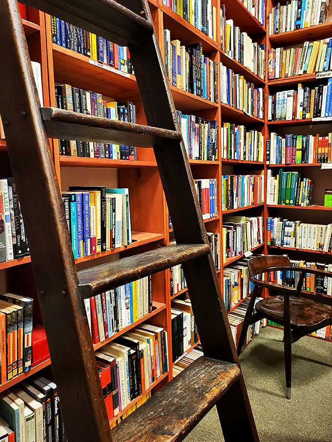 Climb the rungs of imagination! This well-worn ladder isn't just for reaching high shelves; it's a stairway to countless literary universes.