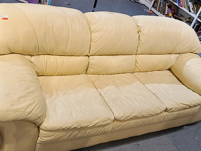 The cream leather sofa&mdash;slightly loved but still dignified&mdash;like a retired professor ready to host deep conversations in your living room.