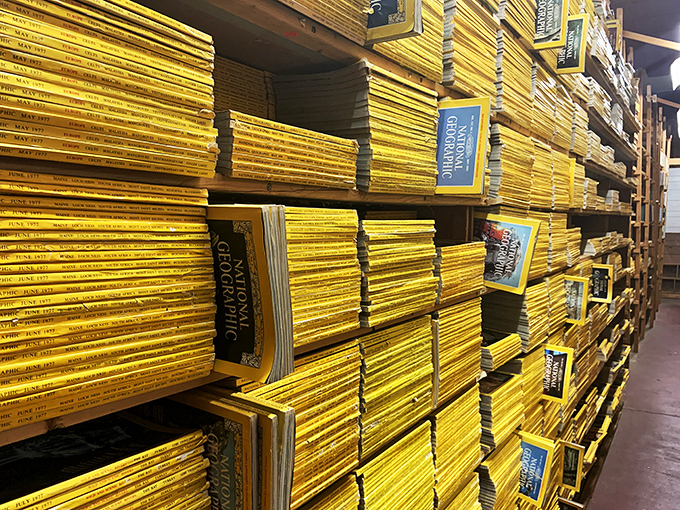 Caution: Yellow pages ahead! This National Geographic collection is a time machine disguised as a bookshelf. Adventure awaits!