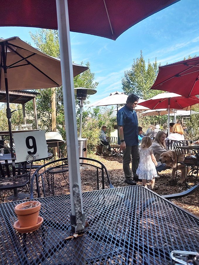 Four-legged friends welcome! Because every dog deserves to dream about sandwiches too.