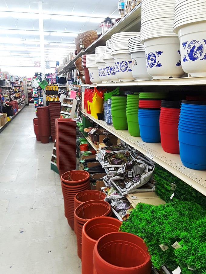 Pot-ential overload! From succulents to sunflowers, these planters are ready to house your budding botanical ambitions.