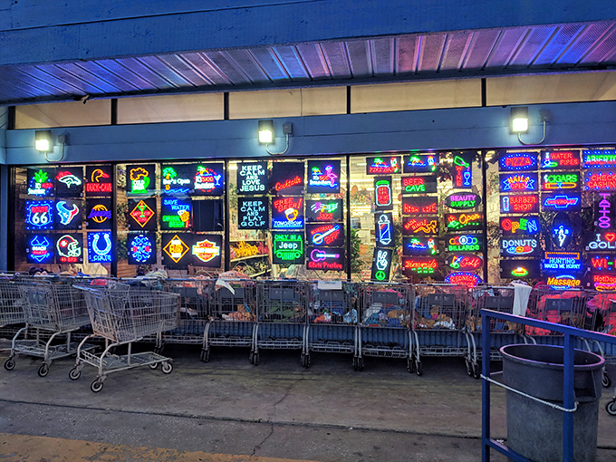 Neon dreams come alive! This display is like Las Vegas had a garage sale &ndash; all the glitz without the gambling losses.