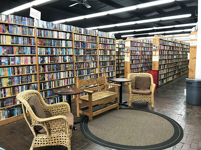 The introvert's paradise! Sink into these cozy chairs and lose yourself in a good book. Warning: may cause extreme relaxation and time-warping.