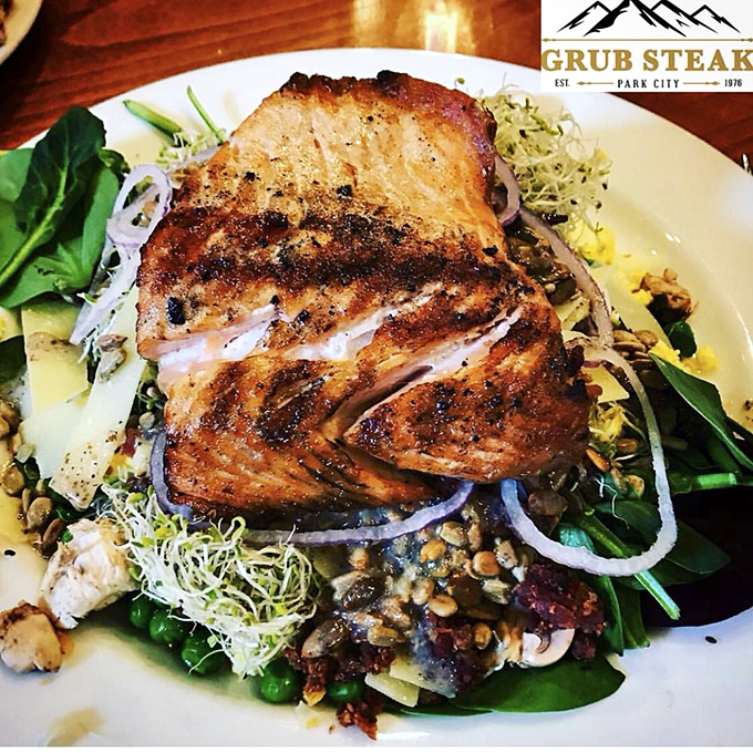 Who says you can't make friends with salad? This grilled salmon salad is here to change minds and tantalize taste buds.