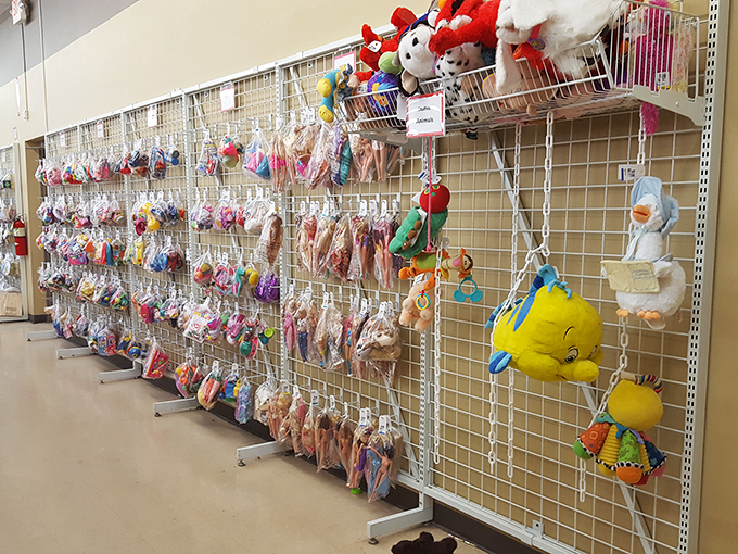 Stuffed animal adoption center ahead! Give these plush pals a forever home. Warning: They may multiply when you're not looking.