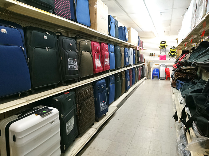 Luggage lineup! These suitcases are ready to roll into your next adventure. Who needs first-class when your baggage looks this good?