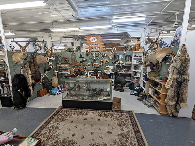 Welcome to the "Taxidermy Tango!" Where Elmer Fudd's dream decor meets the cast of Bambi in an awkward eternal standoff.