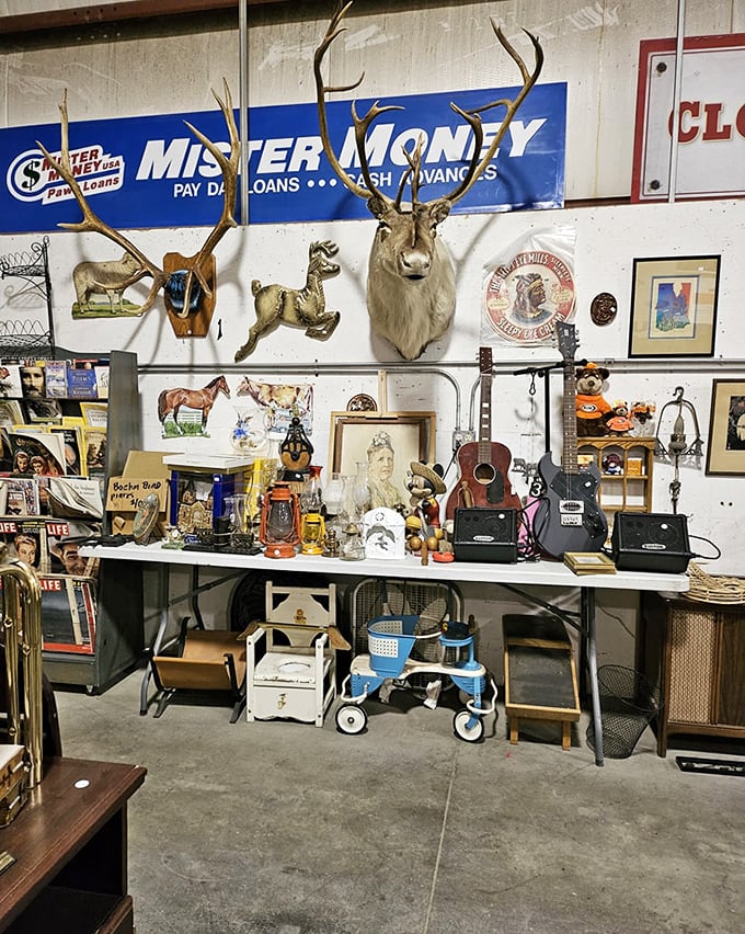Oh deer, what do we have here? A menagerie of mounted marvels that would make Teddy Roosevelt tip his hat. It's the circle of life, flea market style!