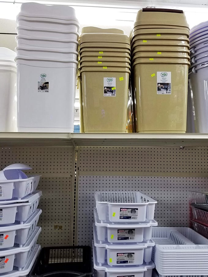 Organize your life one colorful bin at a time. Marie Kondo would be proud, and your wallet will be even happier.