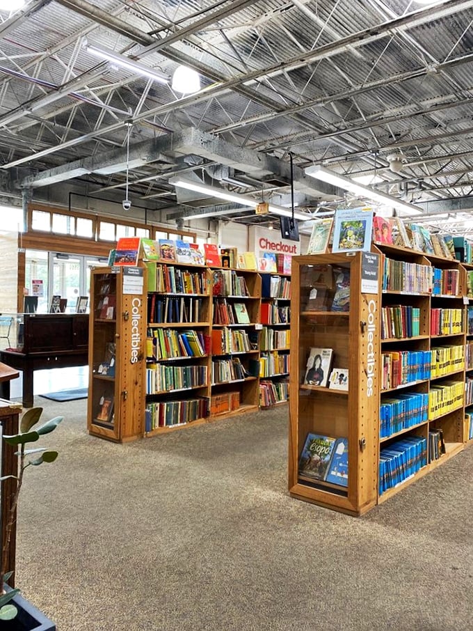 Vintage books: where history meets mystery. Each weathered spine tells a story before you even crack it open. It's like adopting a literary time capsule.