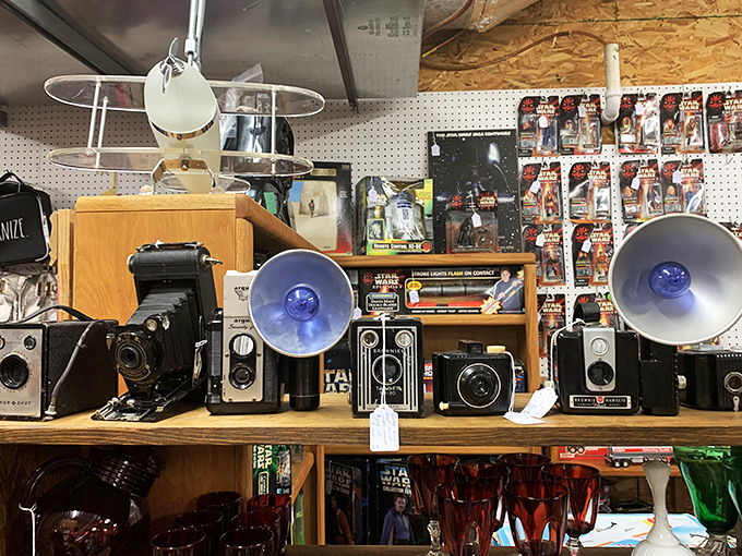 Vintage cameras that captured weddings, birthdays, and vacations long before "selfie" entered our vocabulary. Each one a mechanical marvel.