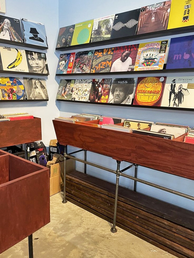 Vinyl enthusiasts, unite! These album covers are a visual feast, proving that sometimes you can judge a book (or record) by its cover.