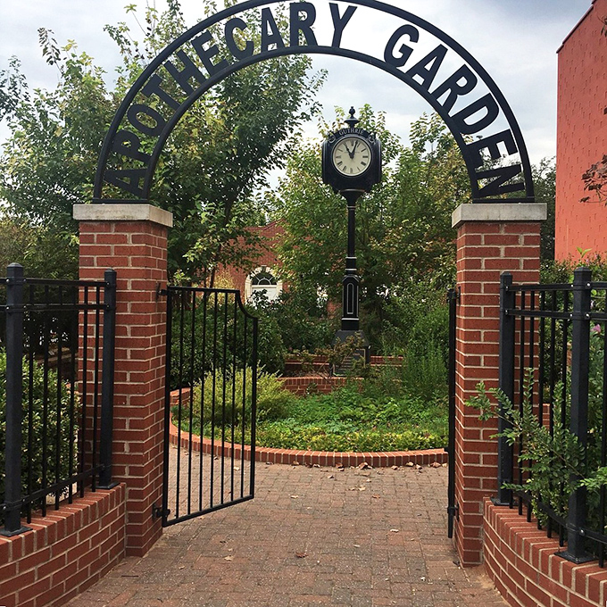 "Apothecary Garden: Nature's Remedy" A delightful blend of history and horticulture, this garden is the perfect spot to stop and smell the roses... and maybe learn about their medicinal properties too!
