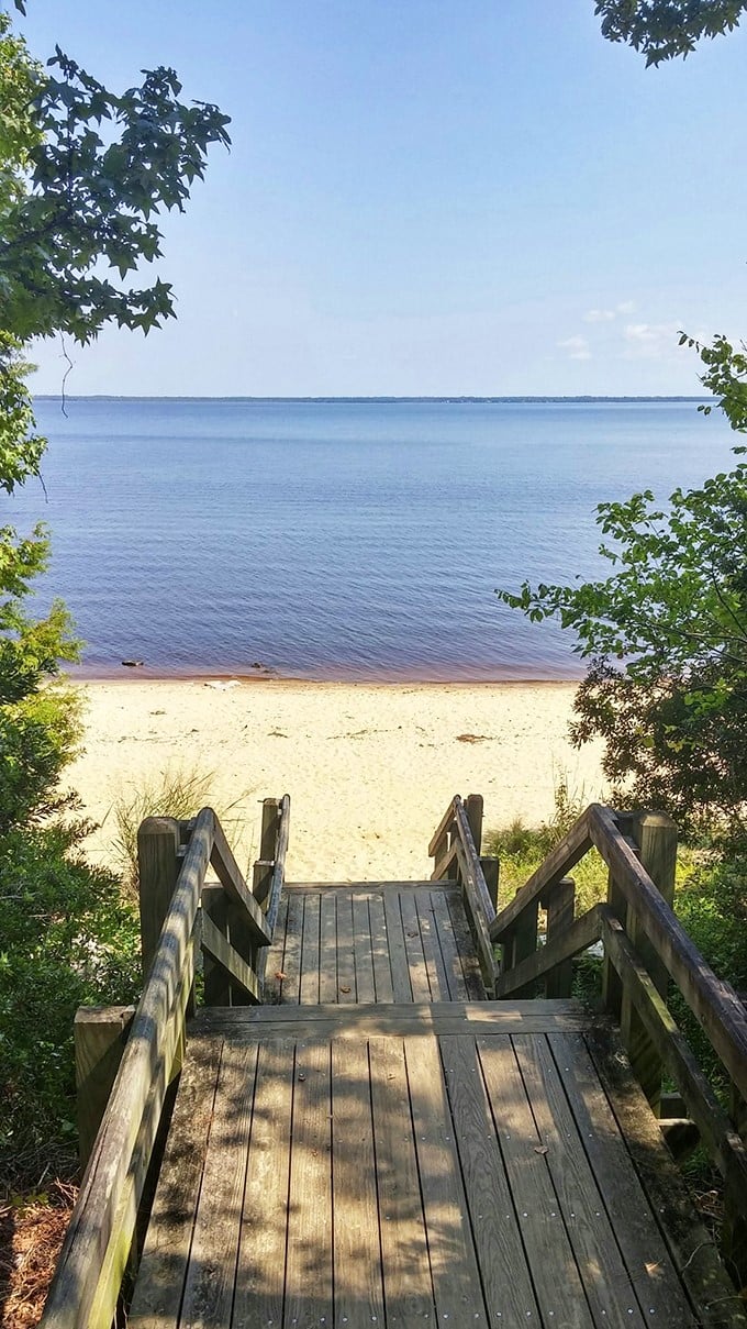 Beach, please! This hidden sandy spot is New Bern's best-kept secret &ndash; your own private slice of coastal paradise.