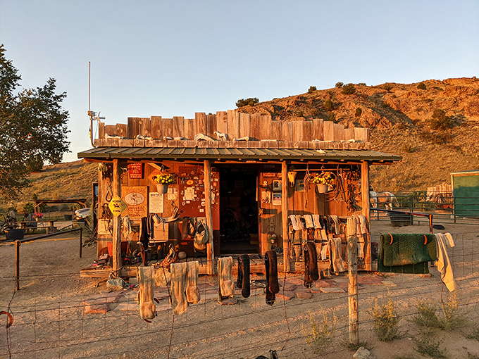 Cowboy couture at its finest! This shop's got everything to transform you from city slicker to bonafide buckaroo in no time.