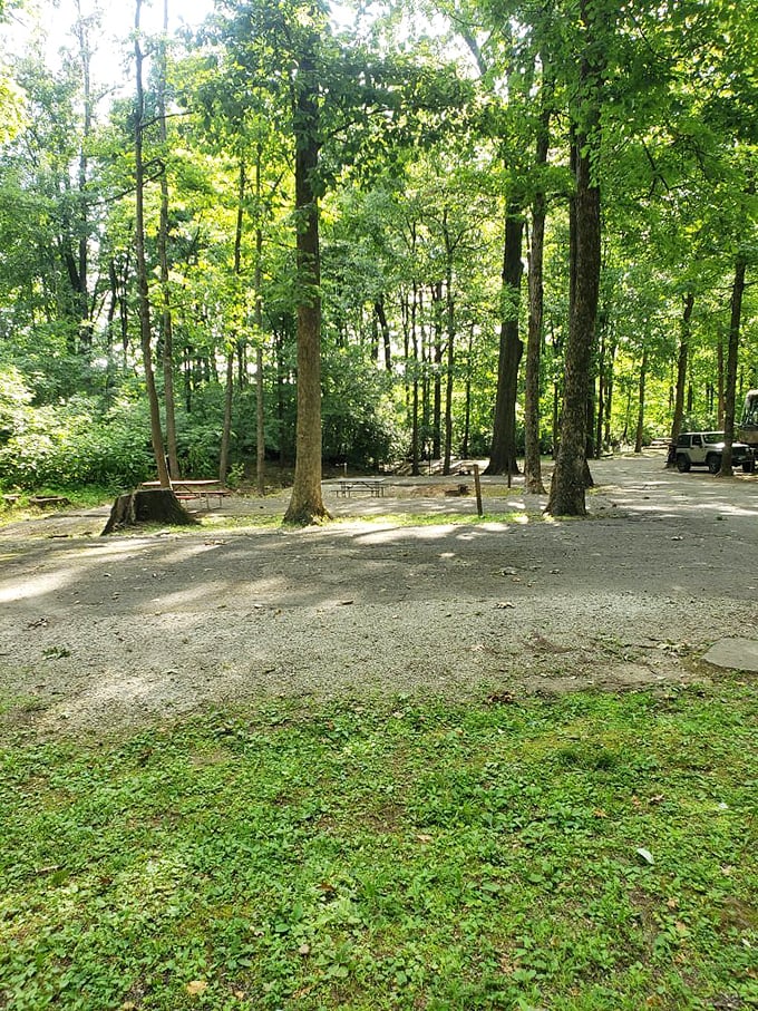 Nature's bourbon tasting room: Where the trees provide shade, and the air is perfumed with hints of oak and vanilla.