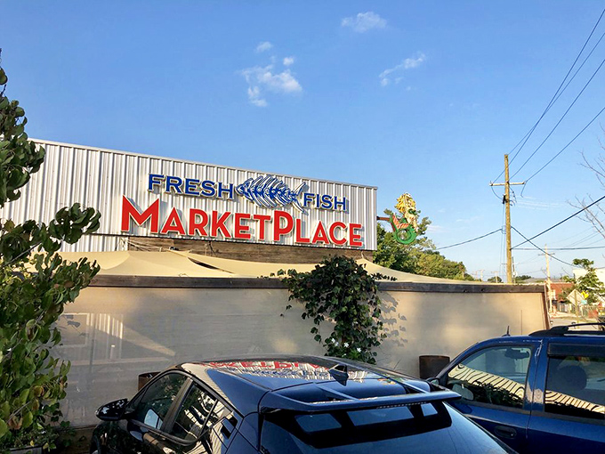 "Blu Fish House: where the parking lot feels like the shore, and every meal is a mini-vacation. No sunscreen required!"